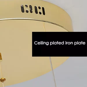 Modern Gold Plating LED Pendant Lamp | chicksloft